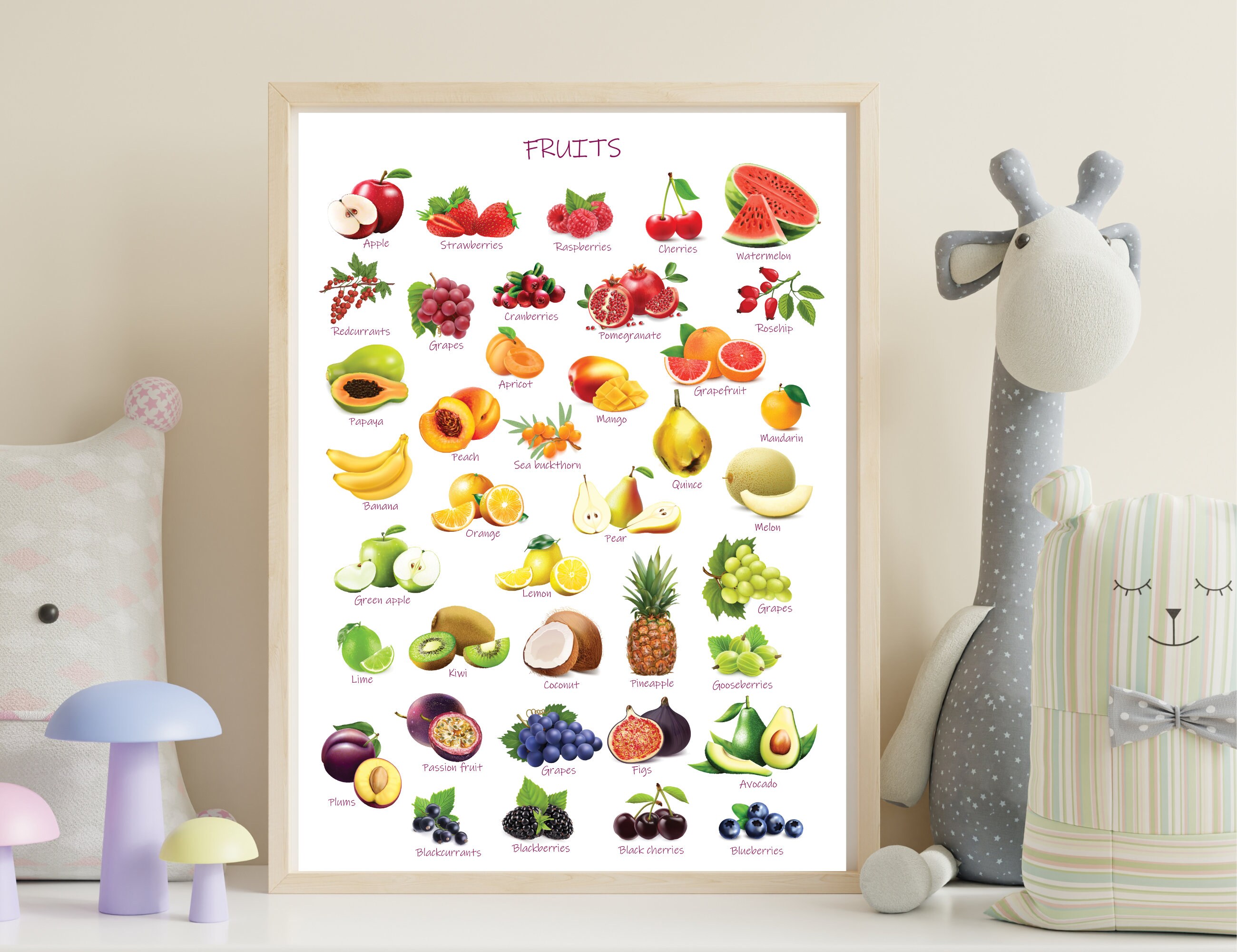 Fruits Poster, Montessori Poster, Educational Poster - Etsy