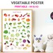 Vegetables Poster, Montessori Poster, Educational Poster - Etsy