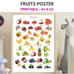 Fruits Poster, Montessori Poster, Educational Poster - Etsy