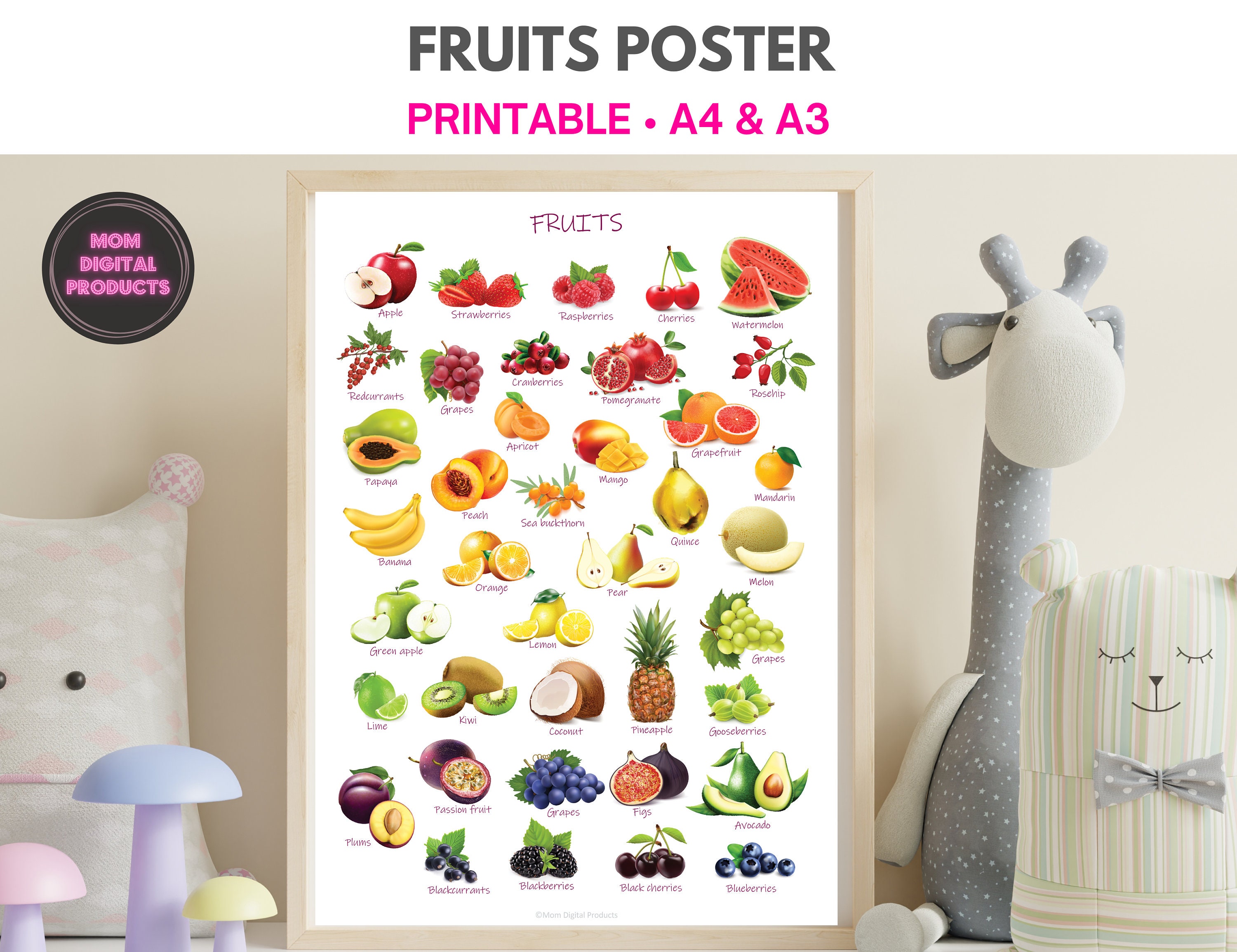 Fruits Poster, Montessori Poster, Educational Poster - Etsy