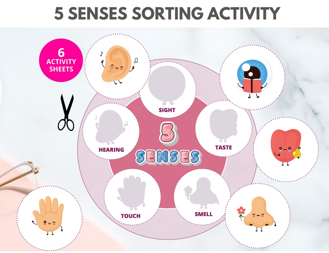 5 Senses Matching Activity, Toddler Busy Book Printable - Etsy
