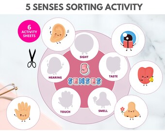 Toddler Five Senses Activities Sorting Learning Matching Busy Book ...