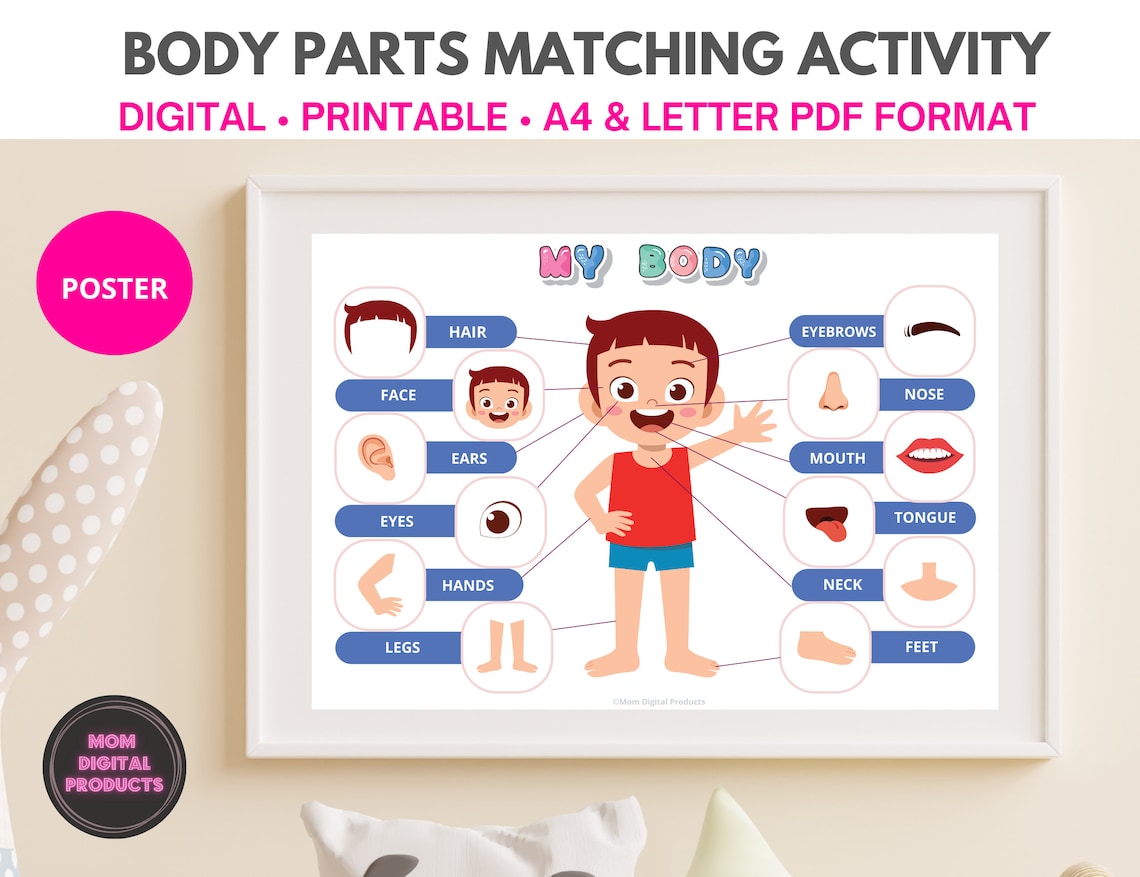 Body Parts Matching Activity, Toddler Busy Book Printable - Etsy