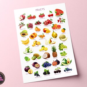 Fruits Poster, Montessori Poster, Educational Poster - Etsy