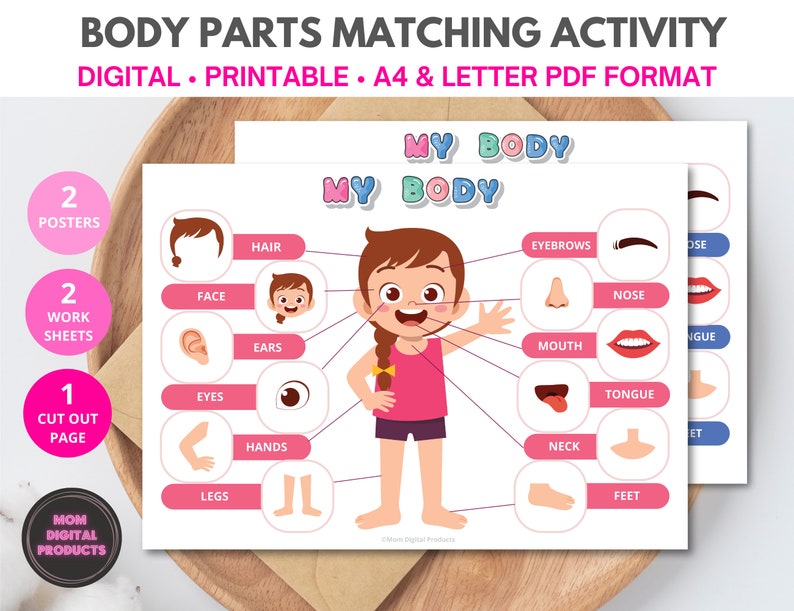 Body Parts Matching Activity Toddler Busy Book Printable - Etsy