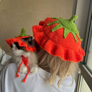 Pet and Owner Matching Crochet Hat Set|christmas Cat Hat|halloween ...