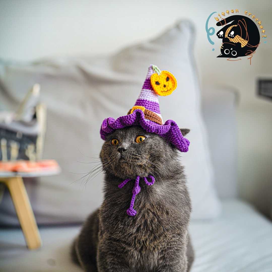 Enchanting Halloween Magic Hat Pet Hat for Cats and Small Dogs|cat Hat ...