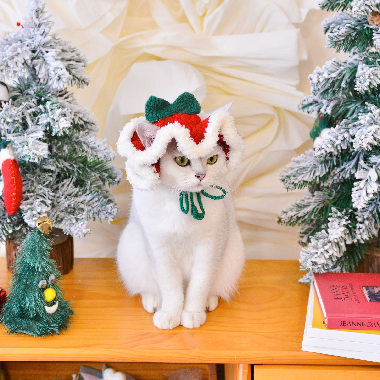 Christmas Cat Hat|handmade Crochet Pet Santa Hat|festive Pet Clothing ...