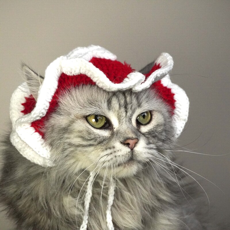 Cat Accessories - Etsy