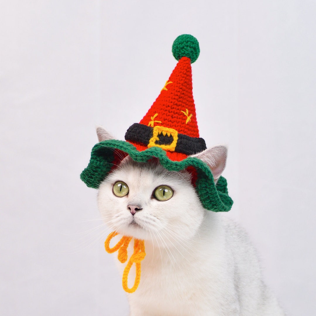 Enchanting Ears: Handcrafted Red Wizard Hat for Your Magical Companion ...