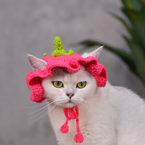 Flower Hat Crochet Hat for Cat or Small Dog Crochet Eggplant Hat ...