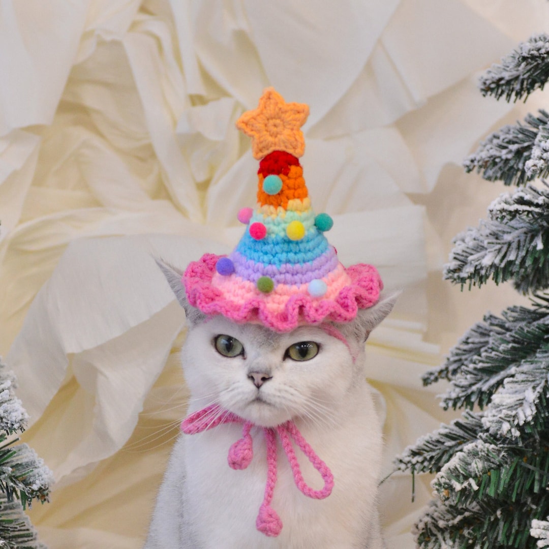 Rainbow Crochet Cat Hat With Star - Cute Kitten Costume, Kawaii Pet ...