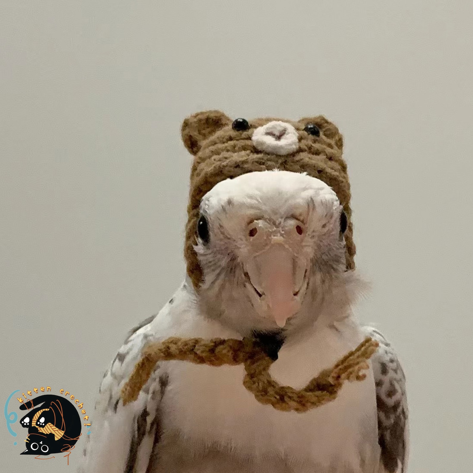 Crochet Hat for Parrot or Bird, Crochet Frog Hat, Crochet Rabbit Hat ...
