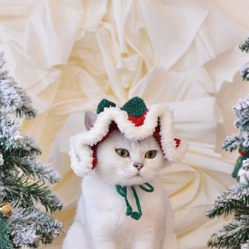 Pet Christmas Outfit|pet Christmas Costume|cat Hat|holiday Cat Outfit ...