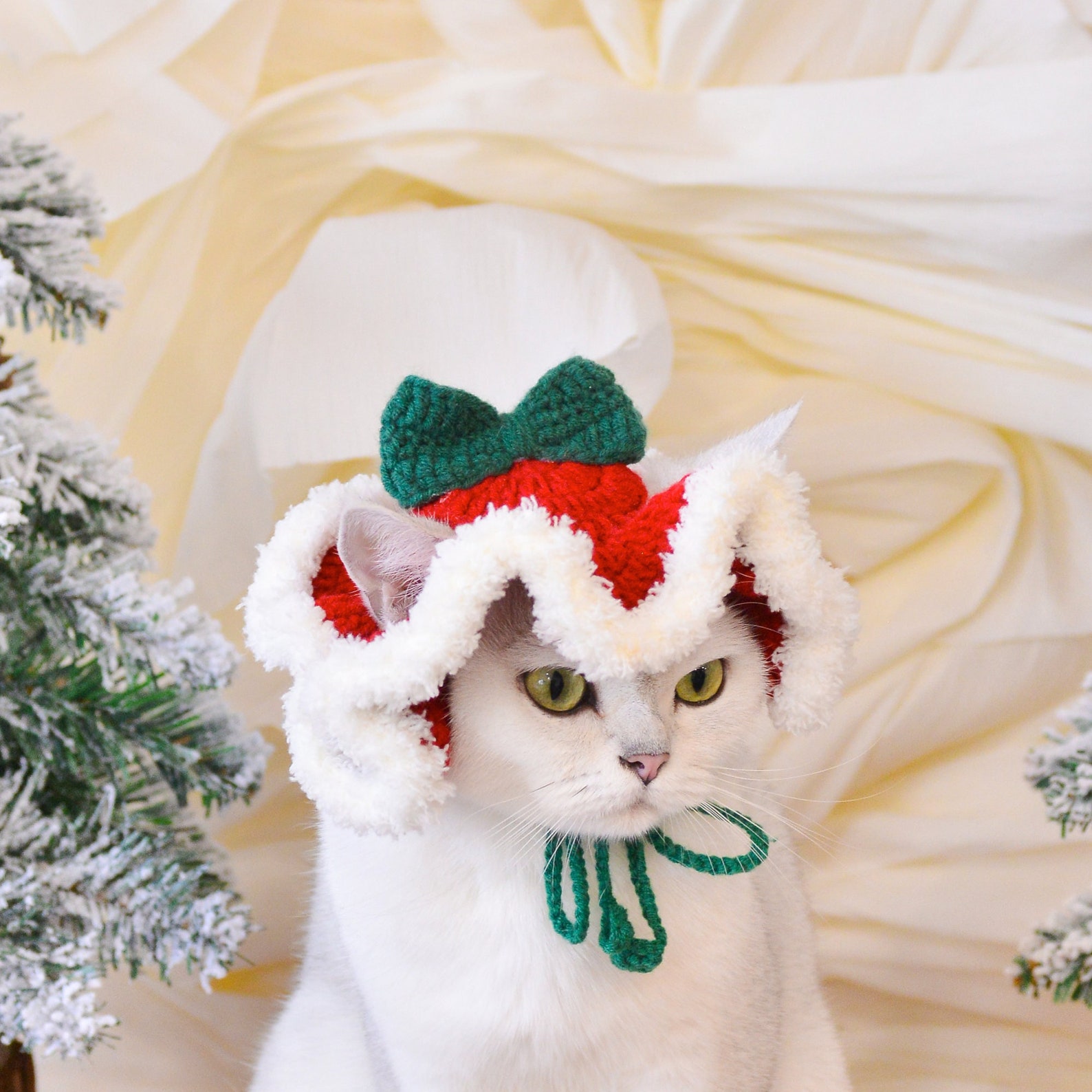 Christmas Cat Hat|handmade Crochet Pet Santa Hat|festive Pet Clothing ...