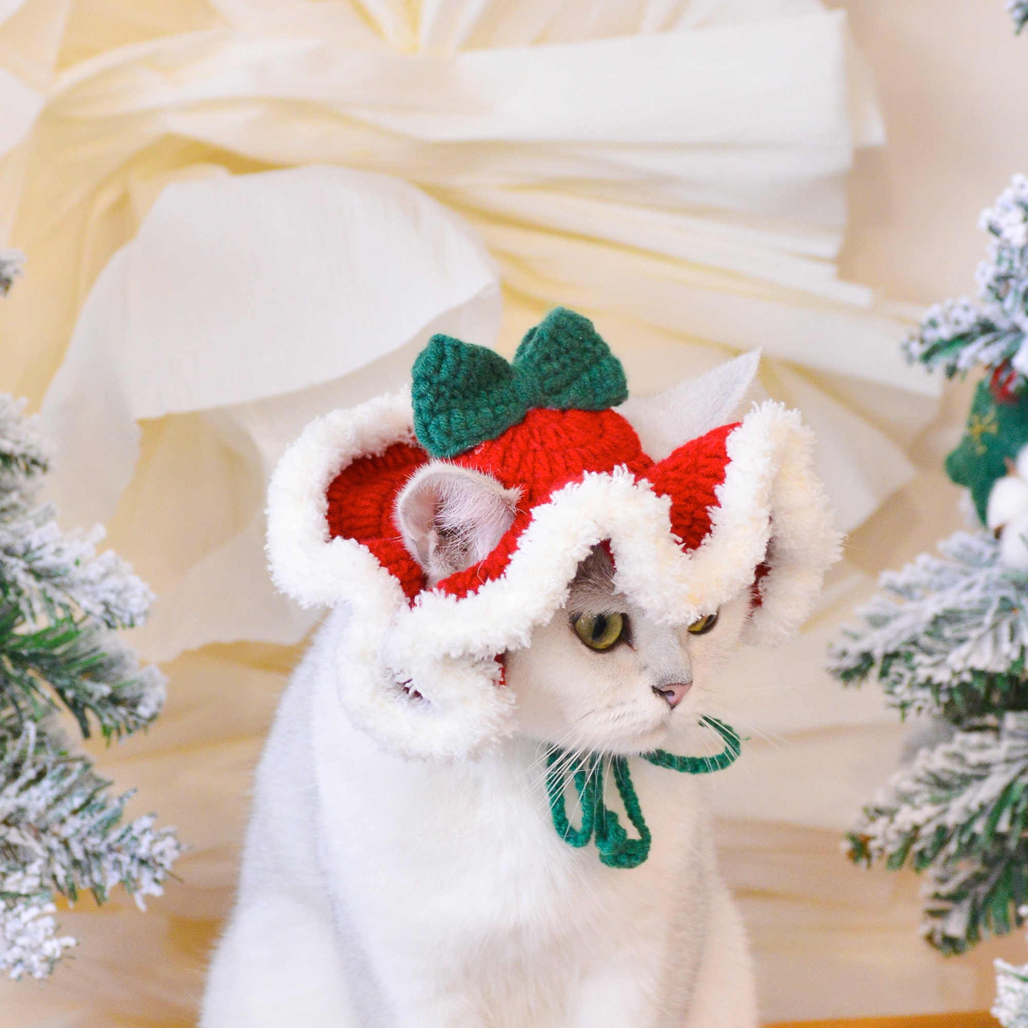 Christmas Cat Hat|handmade Crochet Pet Santa Hat|festive Pet Clothing ...