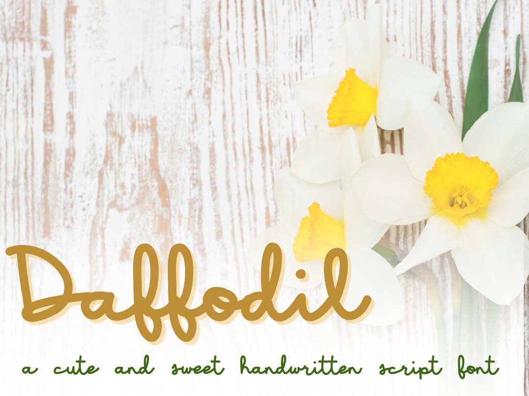Daffodil Font - Handwritten Font, Script Font, Doodle Font, School Font, Neat and Clean Modern ...