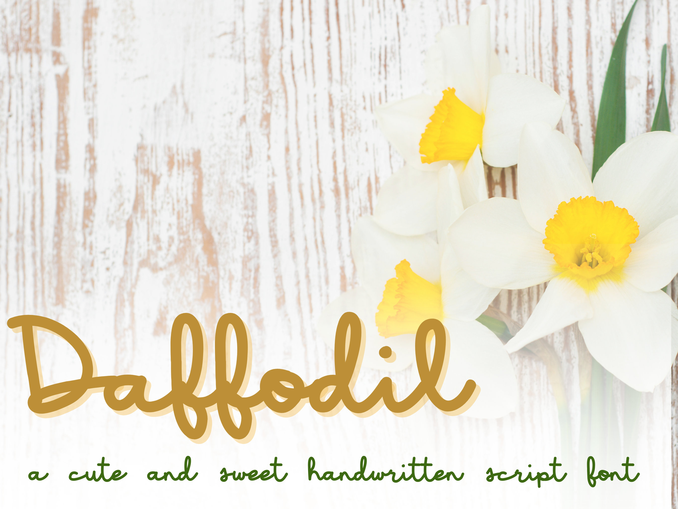 Daffodil Font Handwritten Font, Script Font, Doodle Font, School Font, Neat and Clean Modern ...