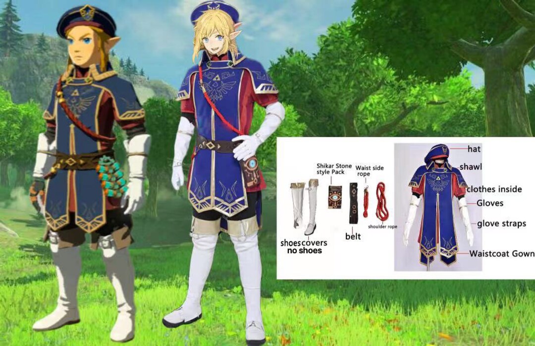Legend of Zelda Link Cosplay: Tears of the Kingdom Royal Guard Set Link ...
