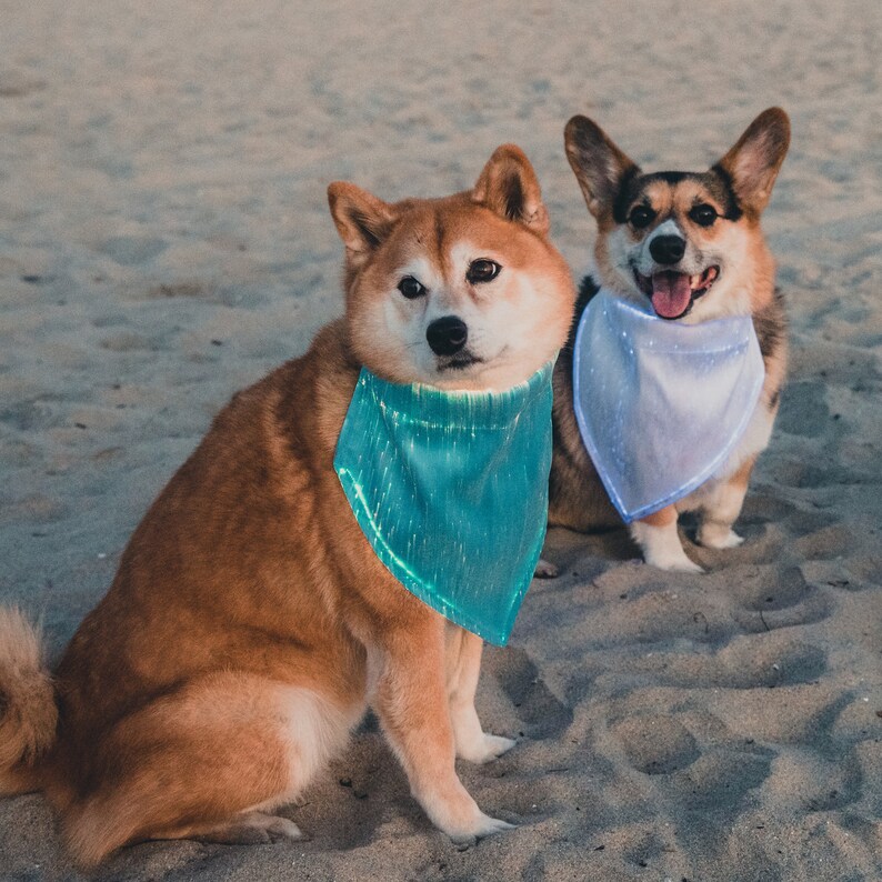Light up Dog Bandana Rechargeable LED Fiber Optic 7 Colors - Etsy