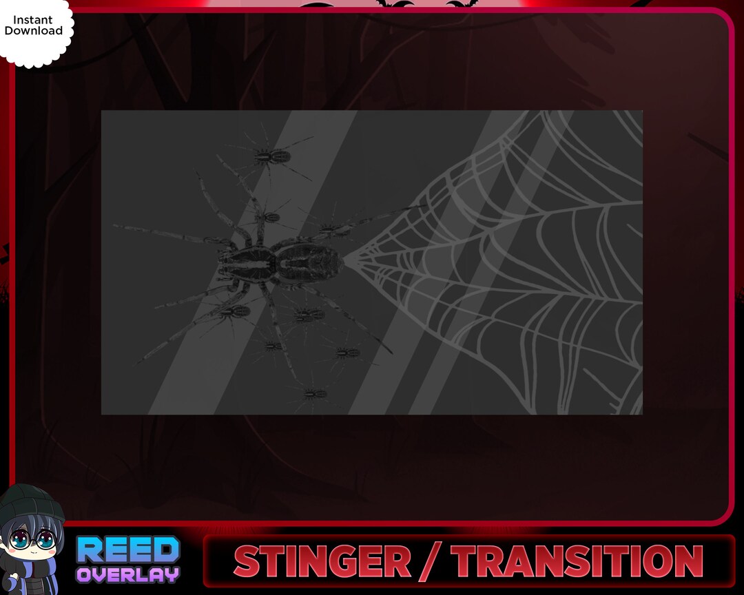 Spider Swarm Animated Stinger Transition - Spooky Halloween Theme Scary ...