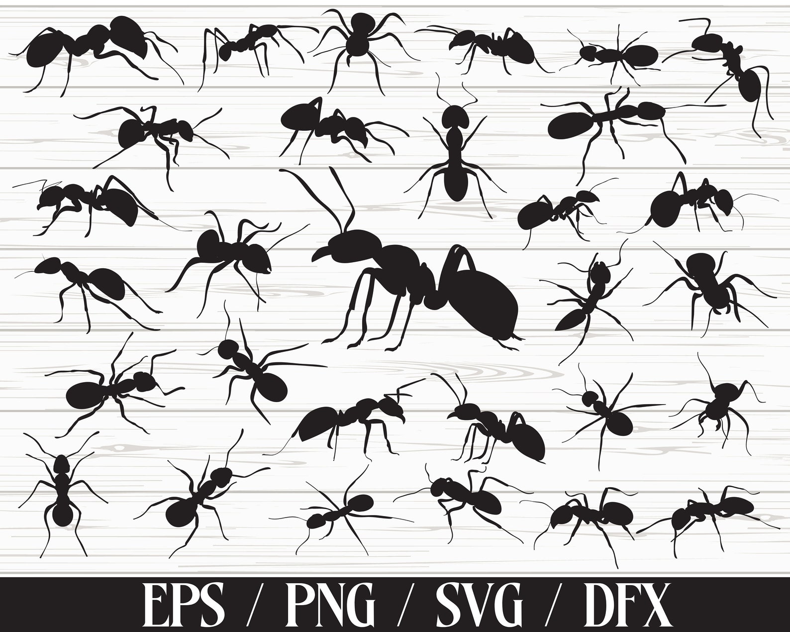 Ants Svg ant Svg Ants Svg Design Ants Cricut Svg Ants - Etsy