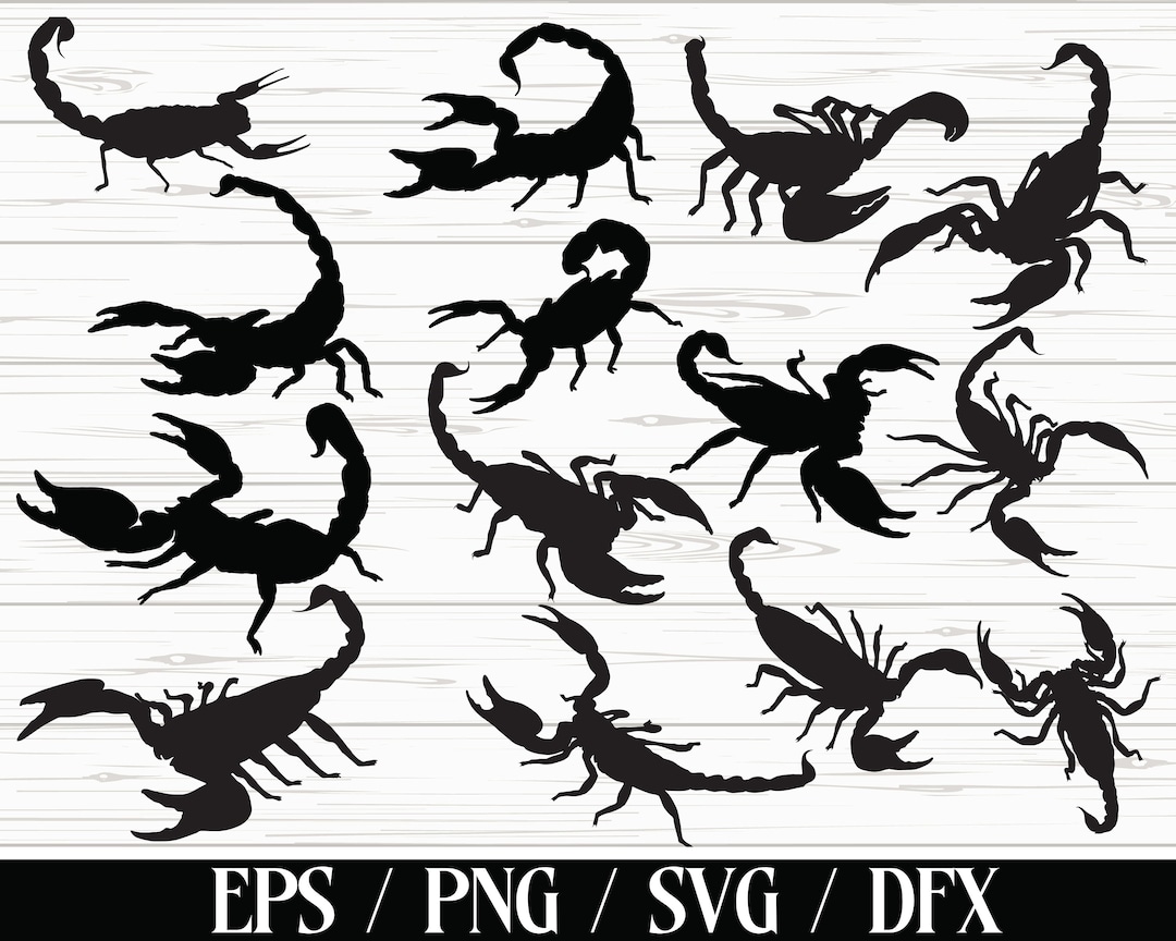 Scorpion SVG Bundle Scorpion Dxf Scorpion Png Scorpion Eps - Etsy Scorpion SVG Bundle Scorpion Dxf Scorpion Png Scorpion Eps - Etsy