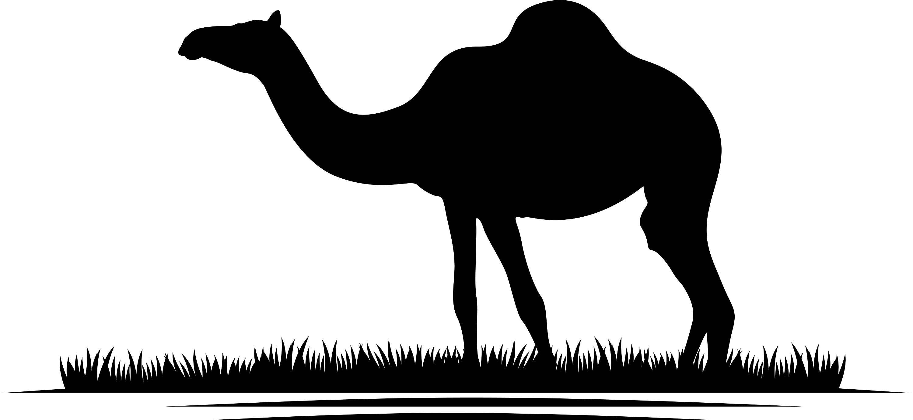 Camel SVG Bundle Camel Dxf Camel Png Camel Eps Camel - Etsy