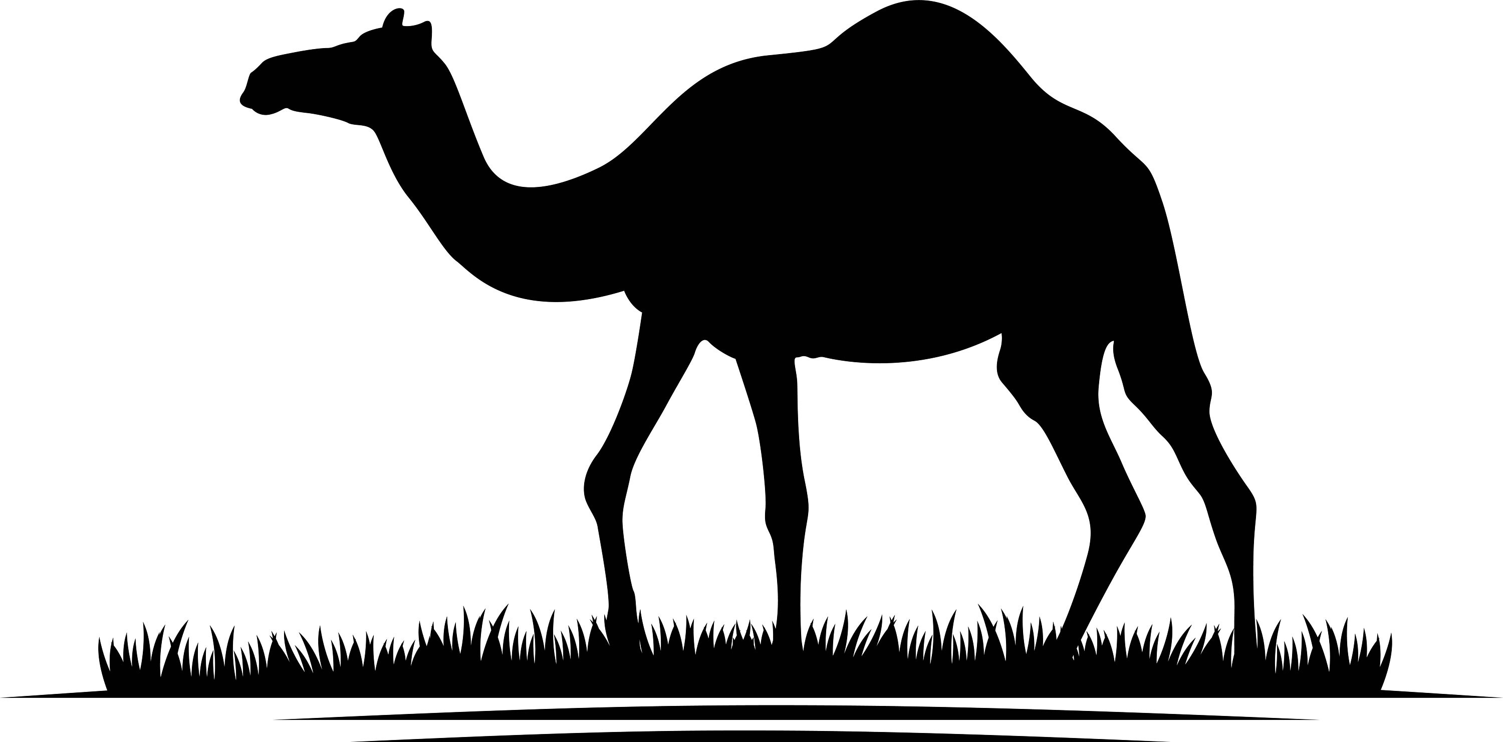 Camel SVG Bundle Camel Dxf Camel Png Camel Eps Camel - Etsy