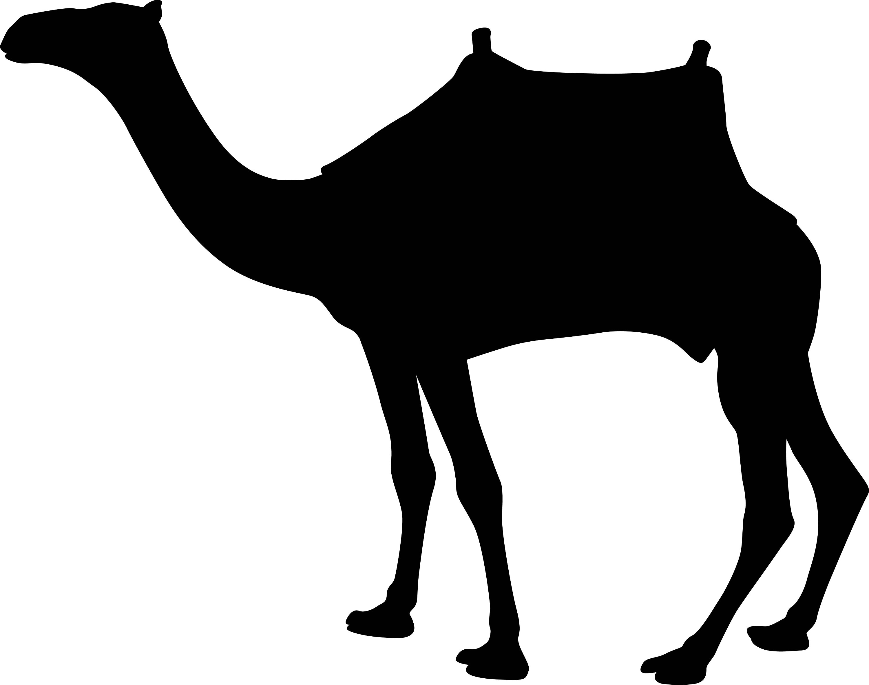Camel SVG Bundle Camel Dxf Camel Png Camel Eps Camel - Etsy