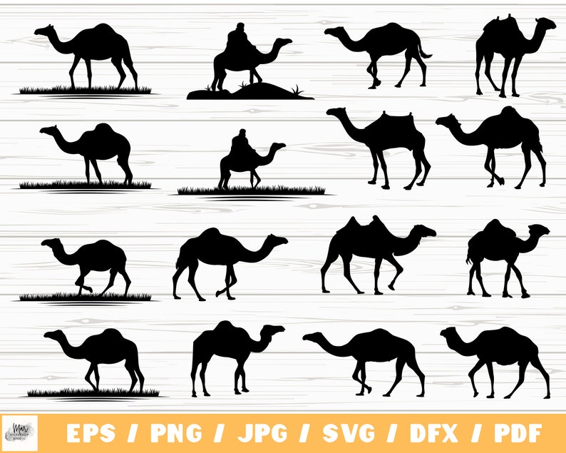 Camel SVG Bundle Camel Dxf Camel Png Camel Eps Camel - Etsy