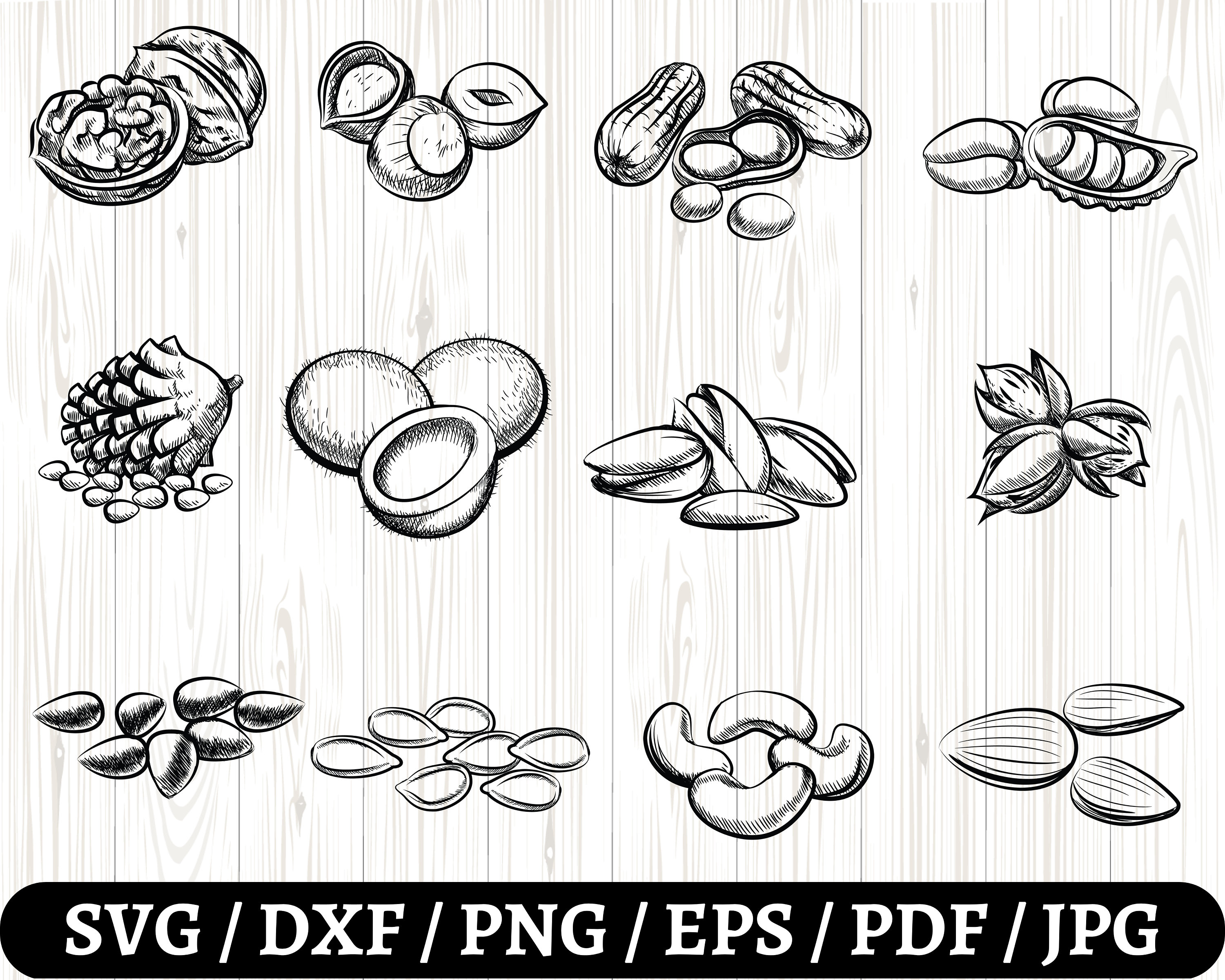 Nut Svg Bundle Nutcracker Svg Nuts Vector Silhouette Nut - Etsy Canada