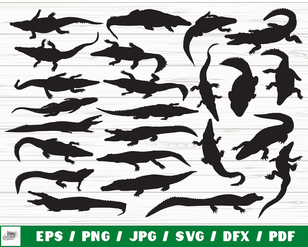 Crocodile Svg Crocodile Svg Bundle Alligator Svgcrocodile - Etsy