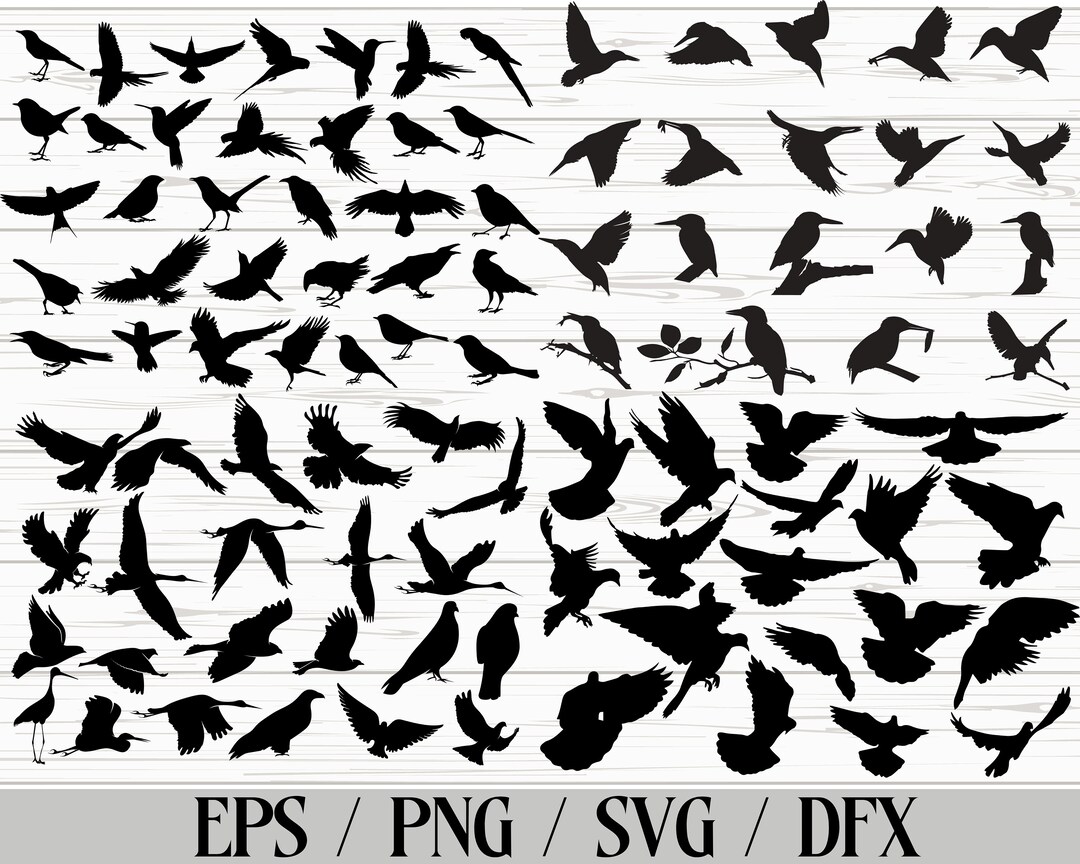 Bird Svg Bundle Birds Svg Flying Bird Svgbirds Clipart. - Etsy