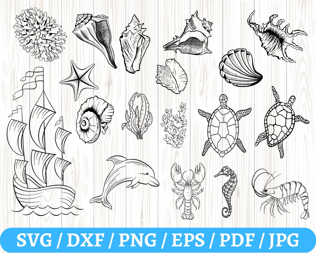 Sea SVG Bundle Sea Animals Svg Beach Svg Ocean Svg Sea - Etsy New Zealand