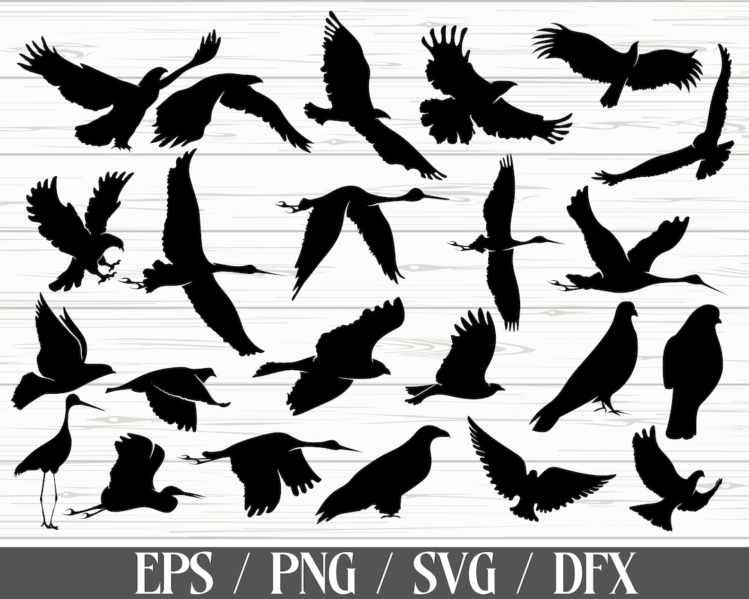 Vogel-Svg-Bundle Adler svg Eule svg Wildtiere svg kleine - Etsy.de