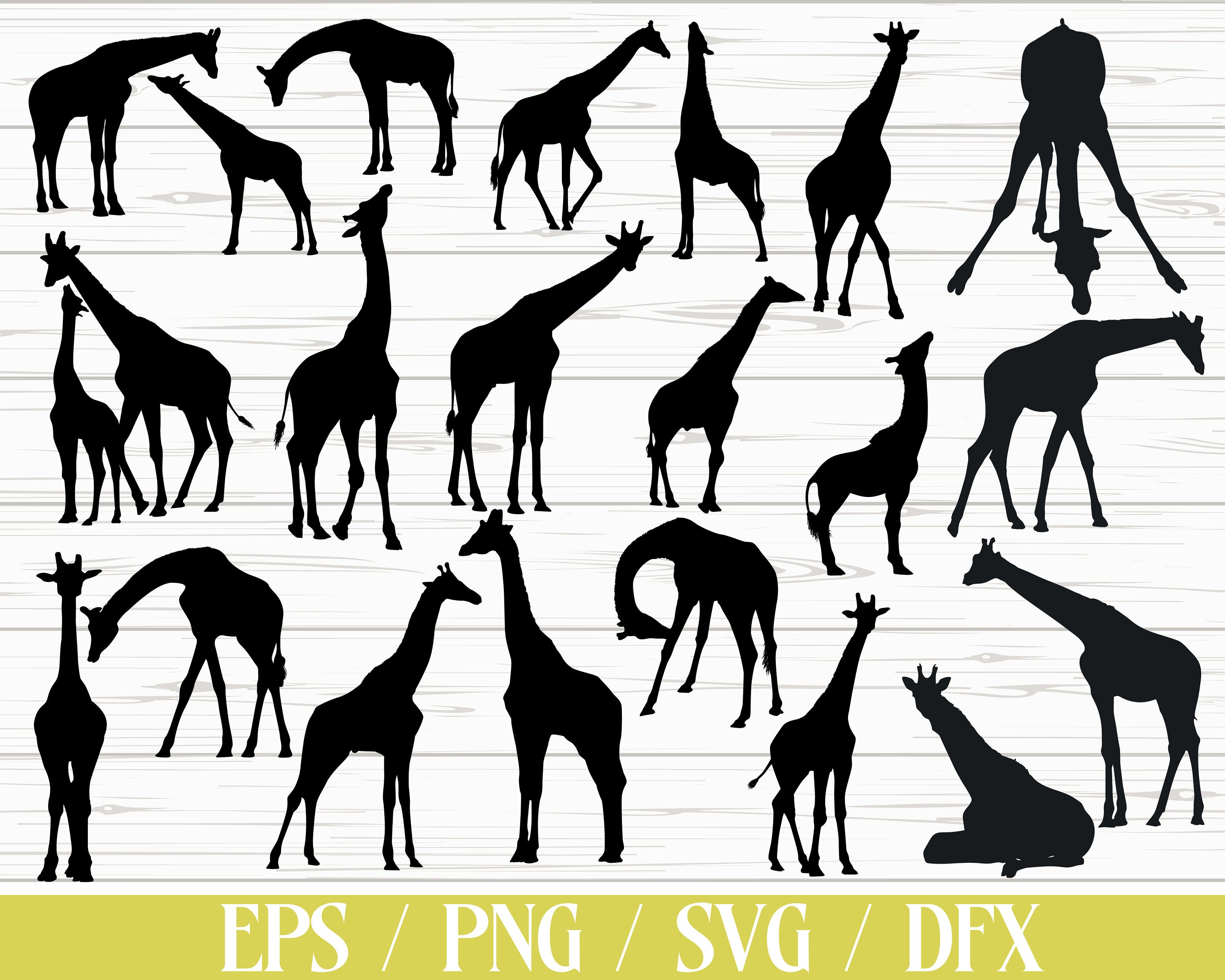 Giraffe SVG Bundle Giraffe Head Svg Giraffe Dxf Giraffe - Etsy
