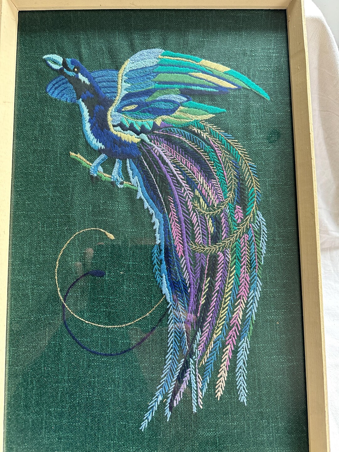 A 1970's Vintage Embodied Bird of Paradise Framed & Glazed - Etsy