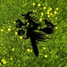 Witch on Broomstick Metal Yard Stake, Halloween Outdoor Decor - Etsy