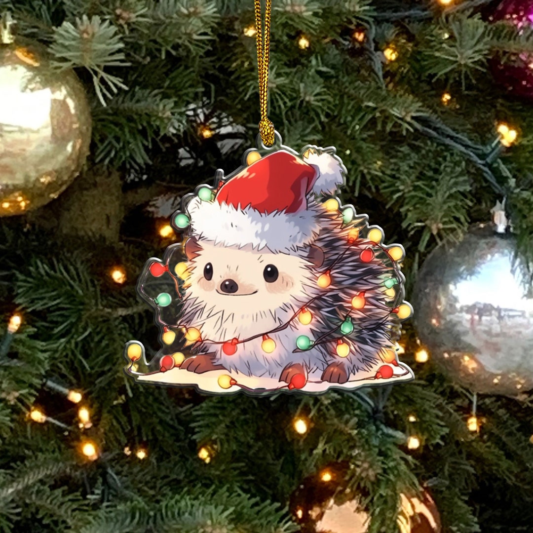 Custom Acrylic Hedgehog Christmas Ornament, Holiday Decor - Etsy