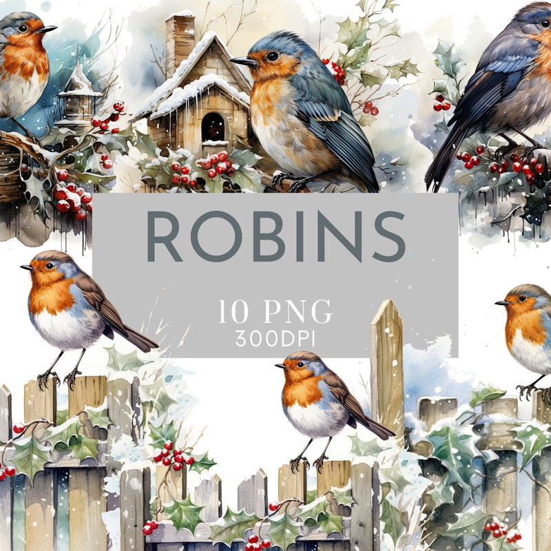 Robins - Etsy