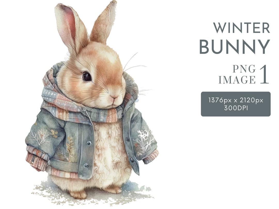 Winter Bunny Watercolor Clipart PNG, Cute Forest Animals Clipart ...