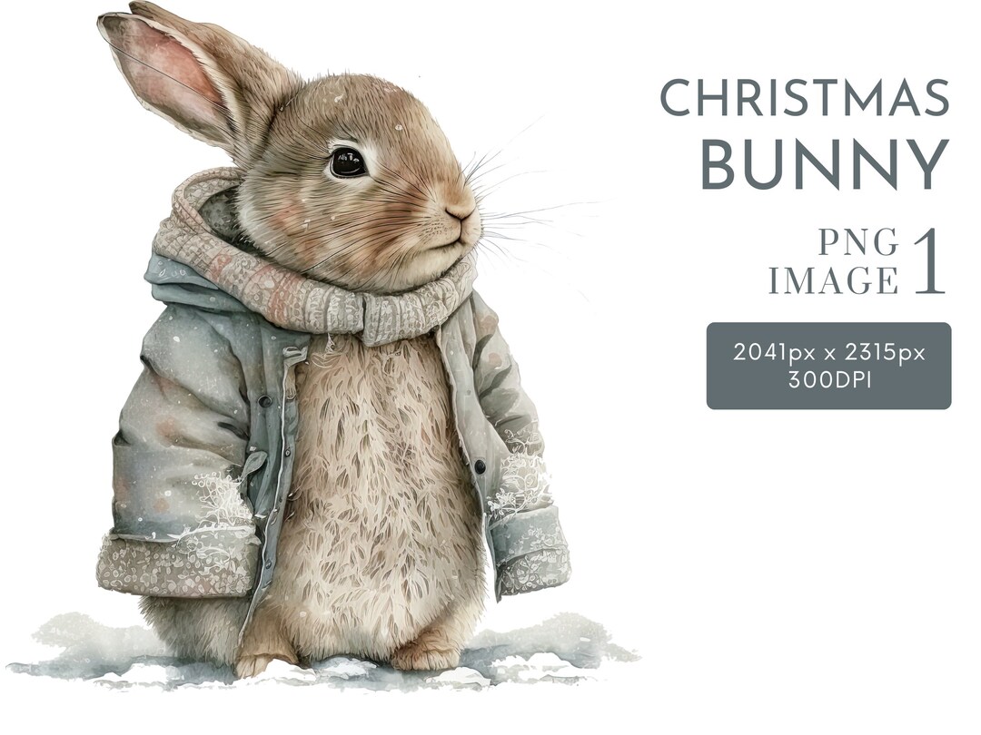 Christmas Bunny Watercolor Clipart PNG, Cute Animals Clipart, Nursery ...