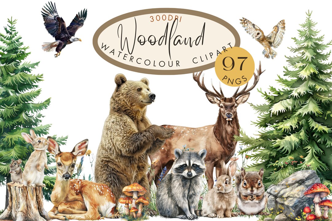 Woodland Christmas Clipart, Watercolor Winter PNG, Forest Xmas Animals ...