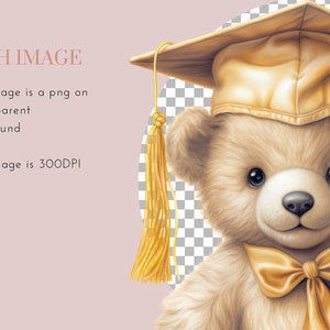 Graduation Teddy Bears Watercolor Clipart PNG Bundle , Coloured ...
