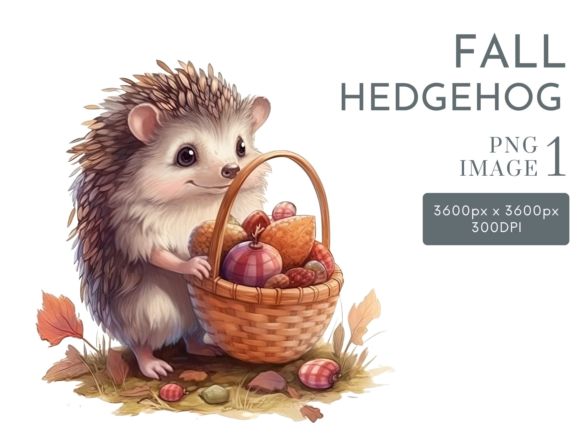 Fall Hedgehog Watercolor Clipart PNG Forest Animals Clipart - Etsy