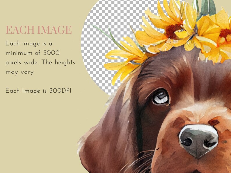 Sunflower Puppy Watercolor Clipart PNG Cute Pets Animals - Etsy