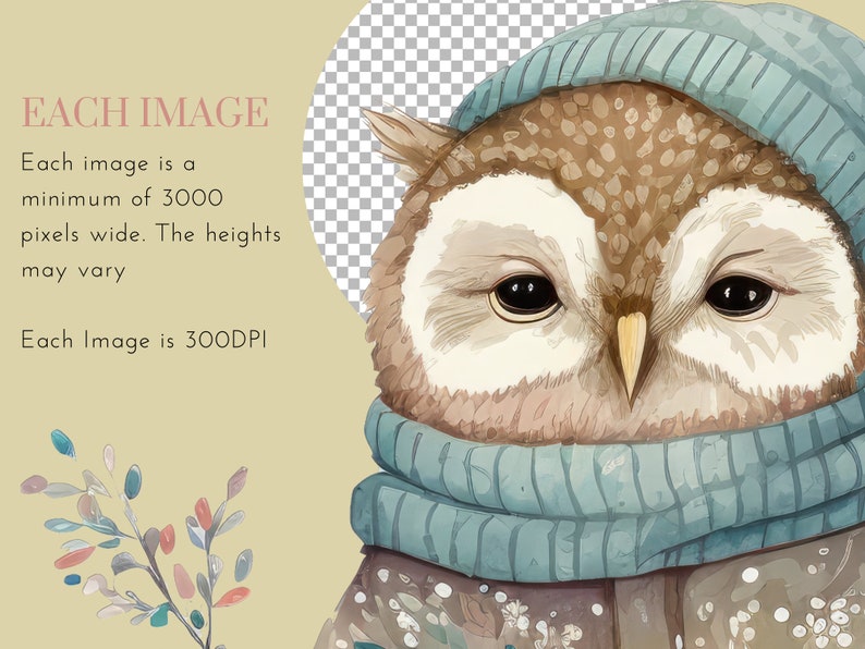 Cute Owl Watercolor Clipart PNG Forest Animals Clipart - Etsy