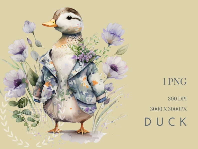 Spring Duck Watercolor Clipart PNG Forest Animals Clipart - Etsy