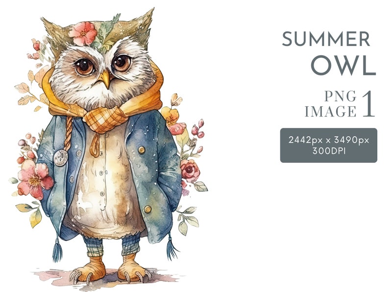 Owl With Flowers Clipart PNG Nursery Clipart Summer Clipart - Etsy